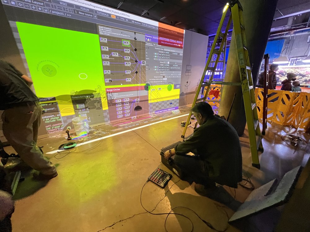 Bridgewater Studio | Shedd Aquarium Wild Reef Exhibit